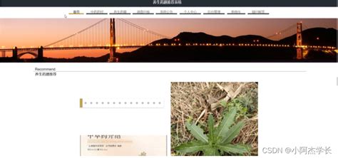 附源码 Python计算机毕业设计django养生药膳推荐系统基于django的膳食健康系统代码 Csdn博客