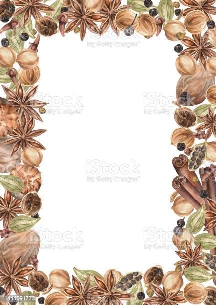 향신료 수채화 집합 클립 아트에 대 한 그림입니다 메뉴 요리 블로그 포장 섬유 웹 디자인 사이트 스티커 초대장 패턴 로고 용으로 설계되었습니다 손으로 그렸습니다 개체 그룹에