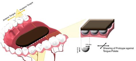 Inkjet Based Surface Structuring Amplifying Sweetness Perception Through… Han Eok Kim