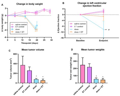 Breast Cancer Model A Administration Of Doxorubicin Resulted In A Download Scientific