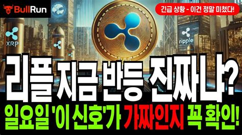 리플 전망 🚀 Xrp 코인 전략 엑스알피 지금 반등 진짜냐 또 속는 거냐 ⚡진입 타이밍은 바로 이때입니다 🚨