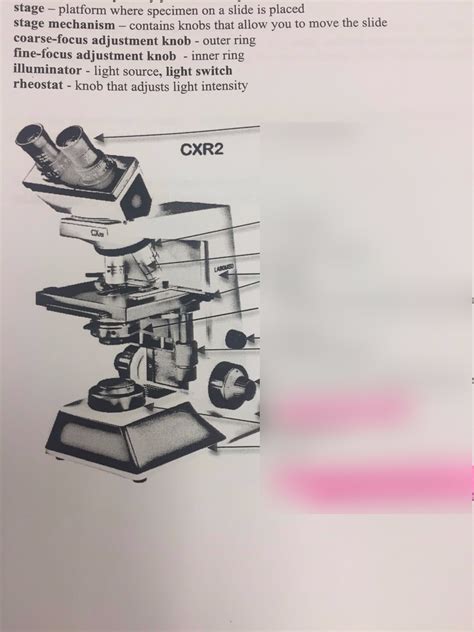 Lab Practical 1 Diagram Quizlet