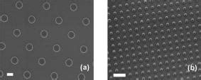 SEM Images Of CoPt Nanodisks Arrays A Is For The Nm Nanodisk Download Scientific Diagram