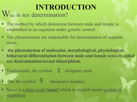Sex Determination Chromosomal Theory Of Sex Determination Pptx