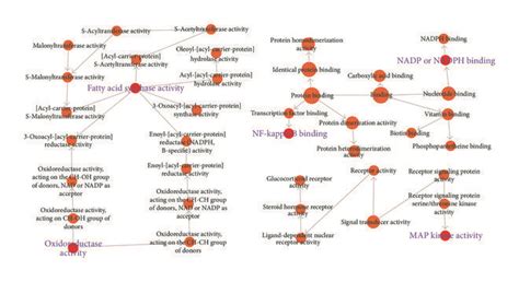Overlapping Proteins Molecular Functions Bingo Was Applied To Analyze Download Scientific