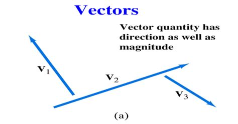 New Vector Quantity Meaning In Marathi Article