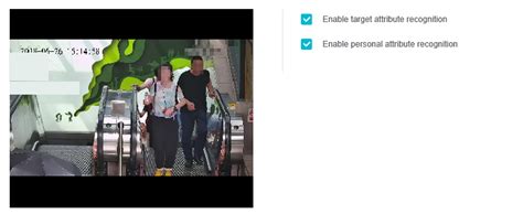 Configuring Target And Personal Attribute Recognition Sdc 10 0 Sdc 10 0 0 Product