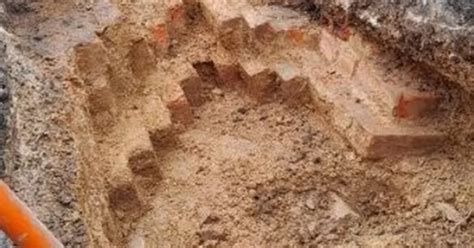 Investigadores De Oxford Descubrieron Adn Vegetal De 2900 Años De Antigüedad En Un Ladrillo De Investigadores De Oxford Descubrieron Adn Vegetal De 2900 Años De Antigüedad En Un Ladrillo De