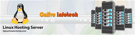 Affordable Linux Web Hosting Server