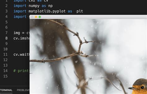 [bug] imread open an image can t be closed r opencv