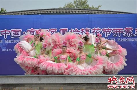 宜陽鳳凰嶺4000餘畝槐花盛開 多彩活動等你來 每日頭條