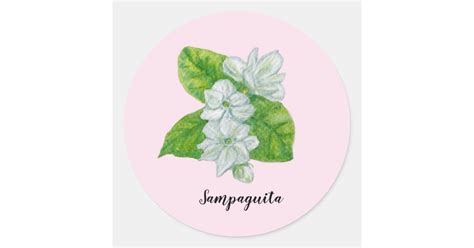 Sampaguita Sticker Zazzle