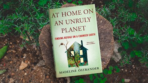Hope For The Alarmed An Interview With Madeline Ostrander The Last