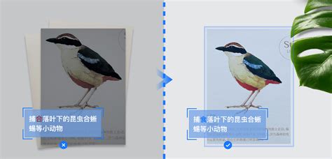 文本图像增强tie图片文字优化图片去阴影 腾讯云