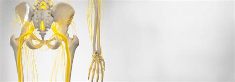 Ciática Síntomas Causas Tratamientos Y Dudas