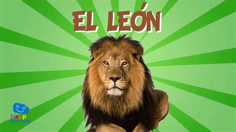El LeÓn Un Cazador Muy DormilÓn Videos Educativos Para Niños Youtube