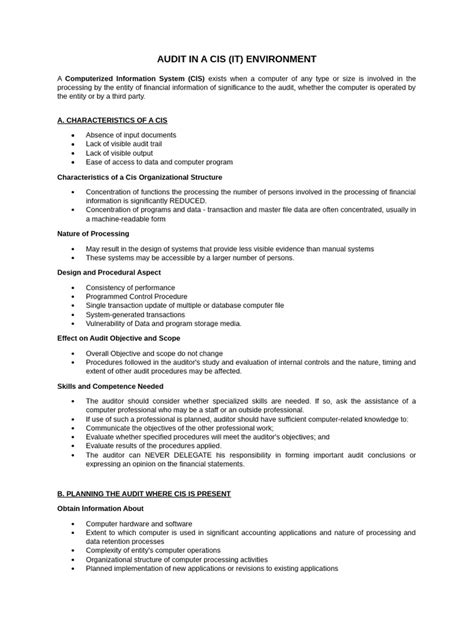 Audit In A Cis Environment Pdf Programming Computer Program