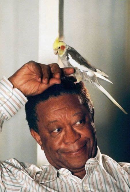 Pin By Sara Letícia Correa On Cinema Nacional In 2024