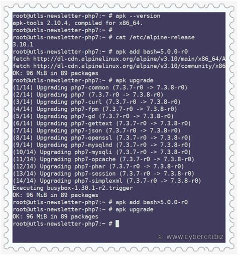 10 Alpine Linux Apk Command Examples Nixcraft