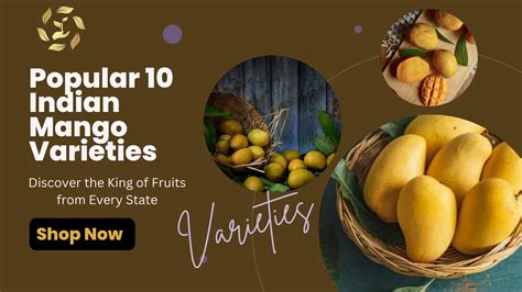 Different Types Of Mangoes In India Top 10 Varieties