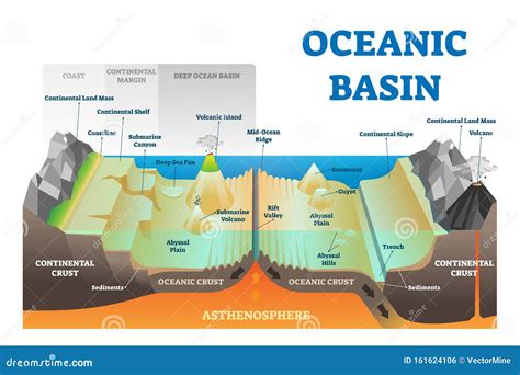 Ocean Basin Structure Vector Illustration Labeled Underwater Level Scheme