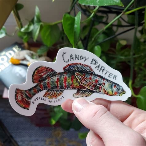 Candy Darter Sticker Waterproof Vinyl Etsy