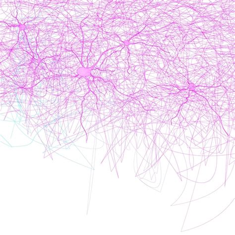 Png Pink Nerve Network Border For Medical Technology Premium Photo