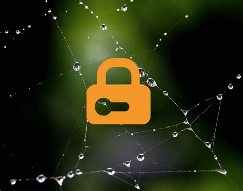 Security Between Microservices Which Protocol