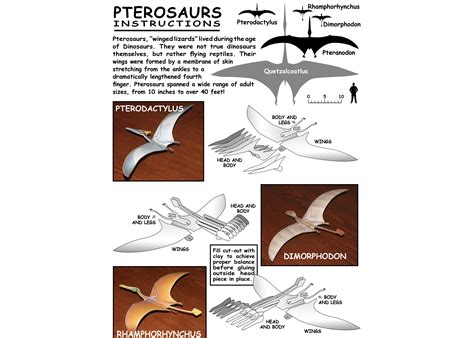 Papercraft Dinosaur Rhamphorhynchus Etsy Uk
