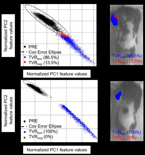 Automated Classification Of Tvr Using A Confidence Covariance Ellipse