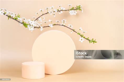 제품 프리젠 테이션을위한 연단 플랫폼 및 파스텔 배경에 흰색 꽃이있는 봄 꽃 나뭇 가지 받침대에 대한 스톡 사진 및 기타 이미지 받침대 꽃무늬 봄 Istock