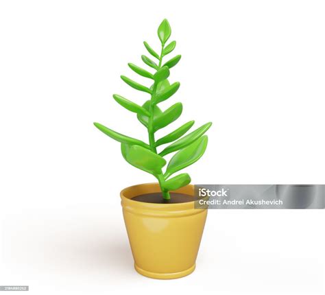 집이나 사무실 인테리어를 위한 화분에 3d 녹색 식물 고립 된 돈 나무 또는 무화과나무는 토양이 있는 노란색 화분에서 자랍니다 가정 정원을위한 장식 꽃 관엽 식물 만화