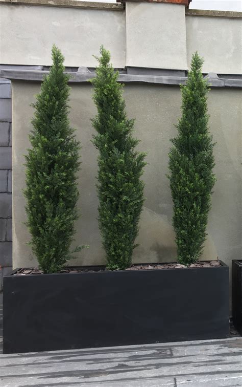 Outdoor Artificial Cedar Trees Artificial Cedar Tree 2 Pack 3 Ft