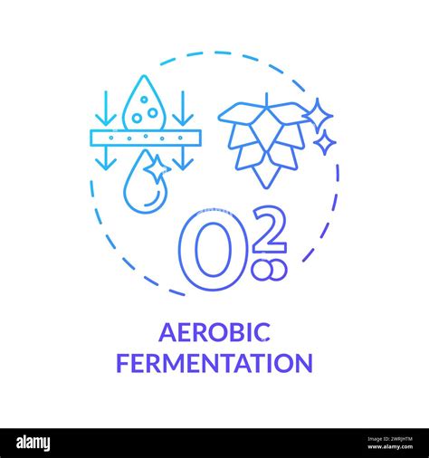 Aerobic Fermentation Blue Gradient Concept Icon Stock Vector Image