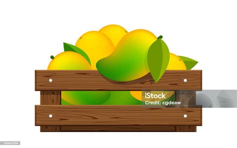 나무 상자에 잘 익은 망고 흰색 나무 상자에 망고 과일 팩 그림 망고 더미와 클립 예술상자 나무 상자에 노란색 망고 힙 망고에 대한 스톡 벡터 아트 및 기타 이미지 Istock