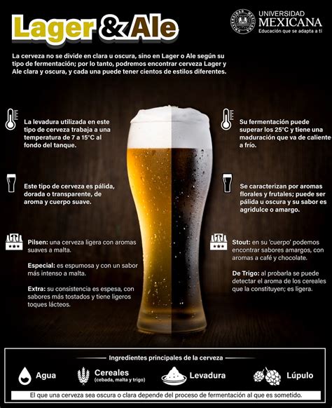 Diferencias Entre Una Cerveza Clara Y Una Oscura