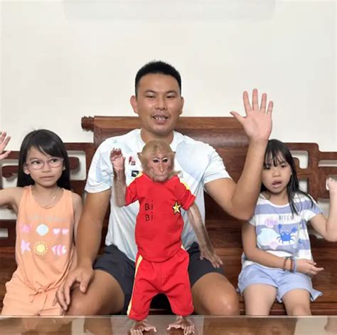 Meet Monkey Bibi The Clever And Adorable Primate Influencer