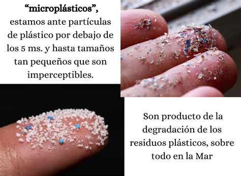 Pellets Y MicroplÁsticos ¿quÉ Nos Preocupa MÁs Cofradía