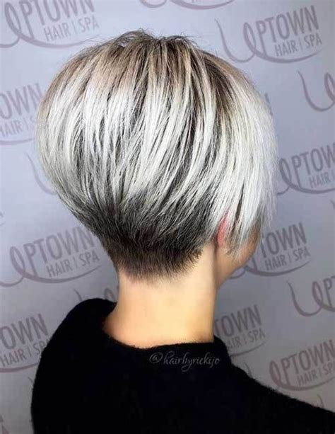Grey Black Pixie Bob