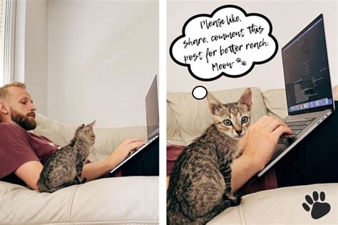 Artur Shalokhin On Linkedin Opentowork React Job Developer Frontend Nextjs Cordova