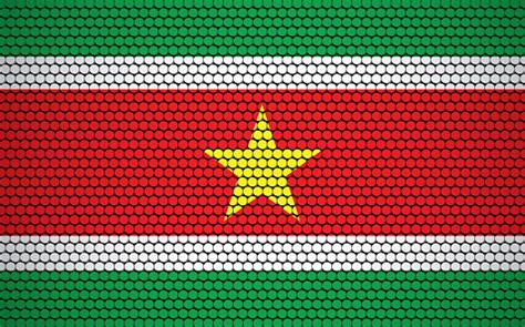 원으로 만든 수리남의 추상 플래그입니다 색상 점으로 디자인 된 수리남 플래그는 현대적이고 미래지향적 인 추상적 인 모습을 제공합니다 0명에 대한 스톡 벡터 아트 및 기타