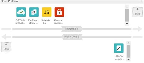 How To Customize And Validate The Json Message For Granttype Access