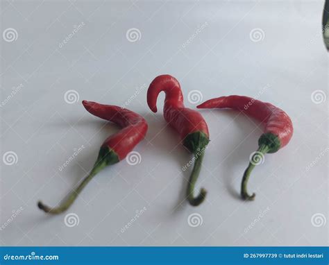Red Chili With A Unique Shape Stock Image Image Of Chili Green