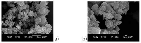 Preparation Of Chitosan Microparticles By Spray Drying