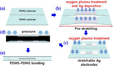 Fabrication Process Of The Stretchable Ag Electrode Using A Pdms Pdms Download Scientific