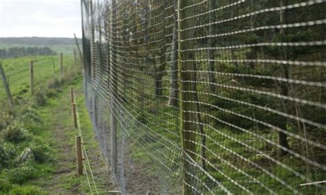 Game Bird Netting 38 Mm 1 ½” Collins Nets Ltd