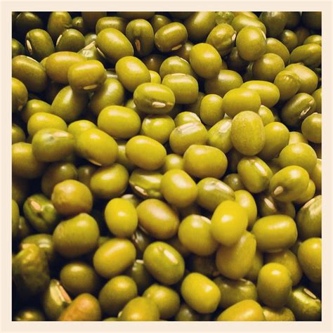 Sprouted Mung Beans Hoodoo Wallpaper