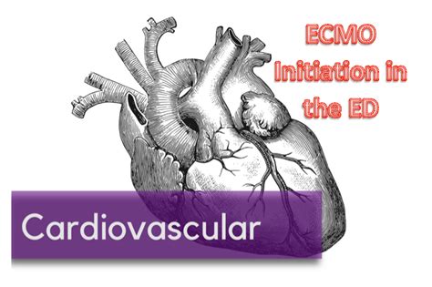 Ecmo Initiation In The Ed — Nuem Blog