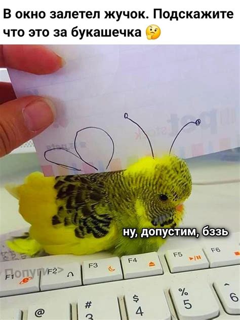 Раздраженная птичка в костюме пчелы - Мем Эксперт