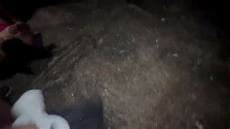 Videos Of Sex Search